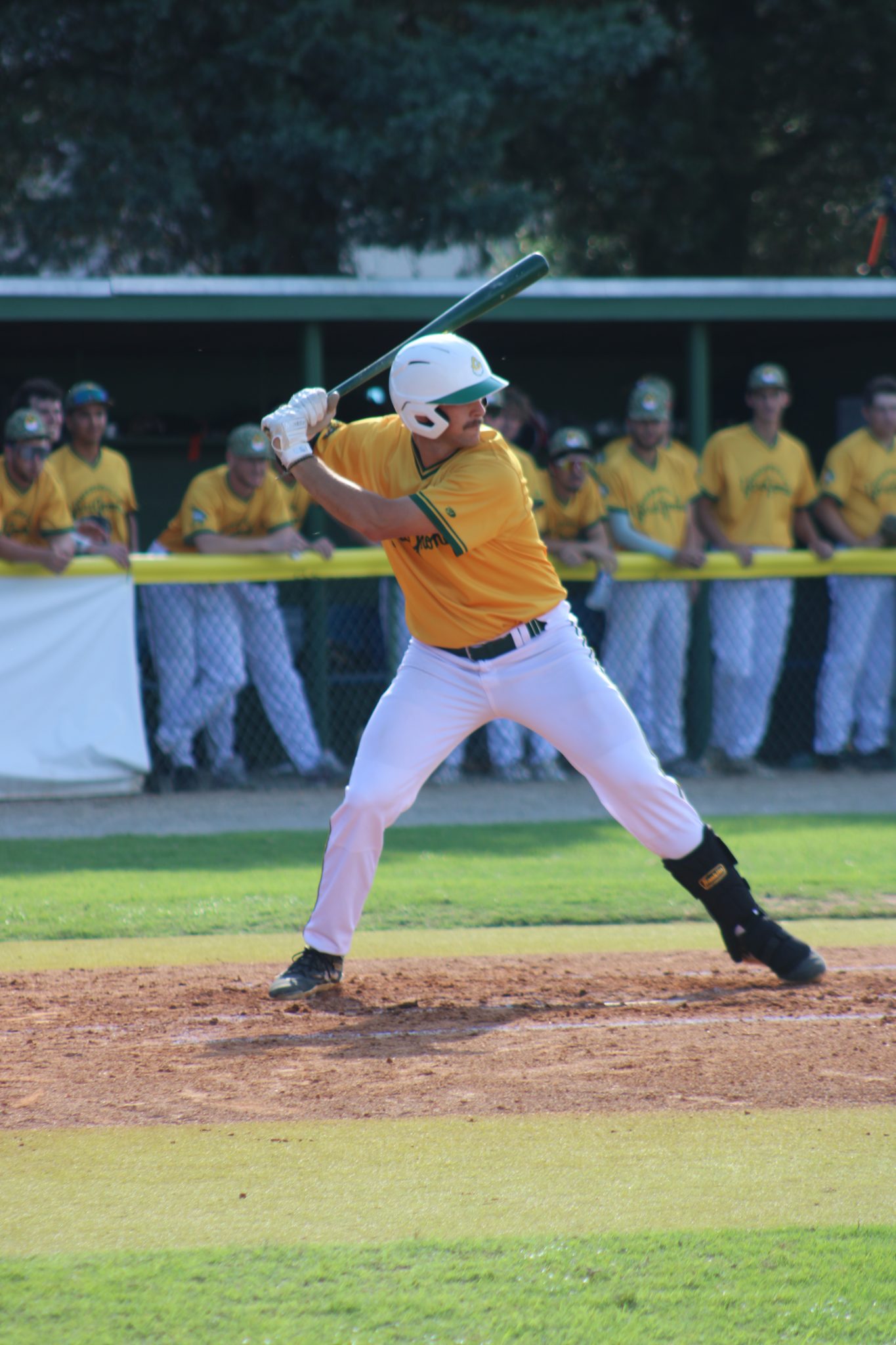 June 29, 2025 10:48 am